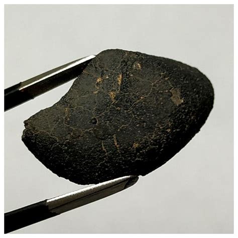 Carbonaceous Chondrite Meteorite Fresh Crust Type Cm2 Catawiki