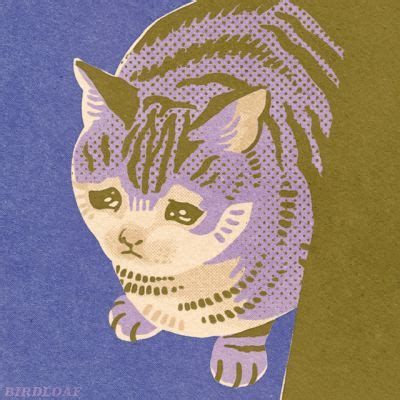 Birdloaf Cat Art Print Cat Art Cat Posters