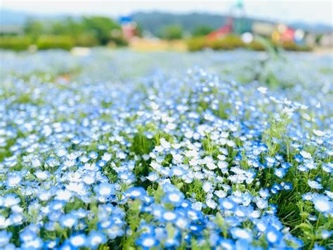 みんなで公園へ行ったよ！ そらいろぺんしる