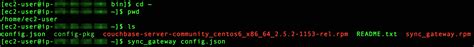 Connecting Couchbase Sync Gateway To Couchbase Ami On Aws