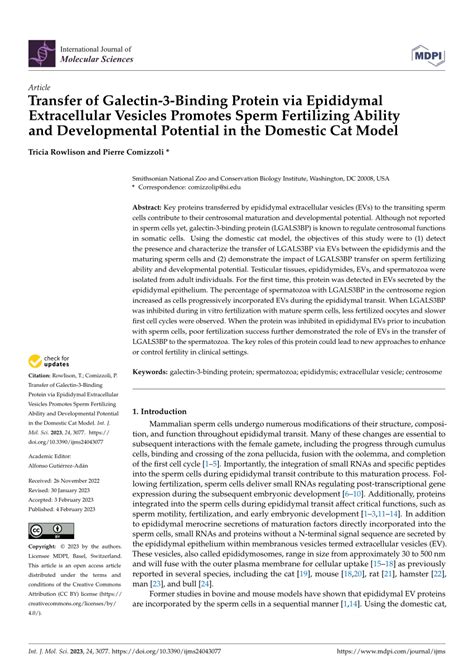 Pdf Transfer Of Galectin 3 Binding Protein Via Epididymal