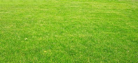 Ways To Help Kindkeeper