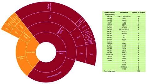 Distribution Of Demyelinating And Axonal Phenotypes And Mutations In