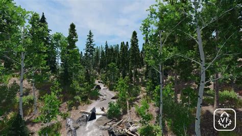 Visual Forester On Linkedin Stream Buffer Thinning Group Selection Harvest