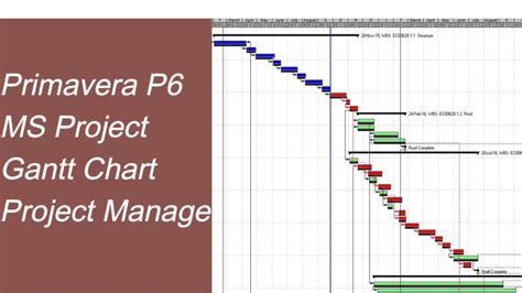 Create Professional Gantt Chart Using Primavera P6 By Asadabbas012 Fiverr