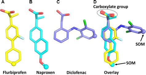 The Molecular Basis Of Dapsone Activation Of Cyp2c9 Catalyzed