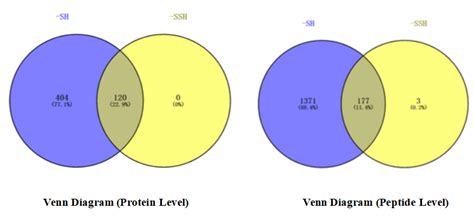 Cysteine Post Translational Modifications Omics Analysis