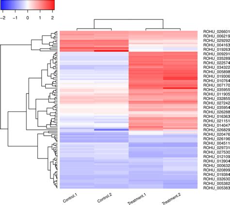 Heatmap Generated From Degs Reflecting Gene Expression Values In L