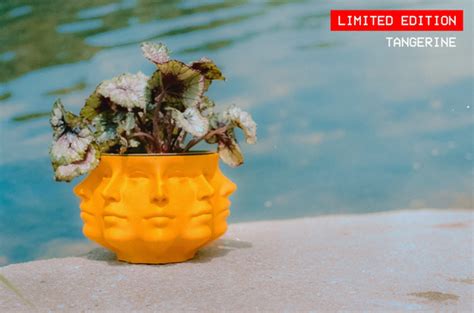 Buy 3d Printed Polyface Planter Online