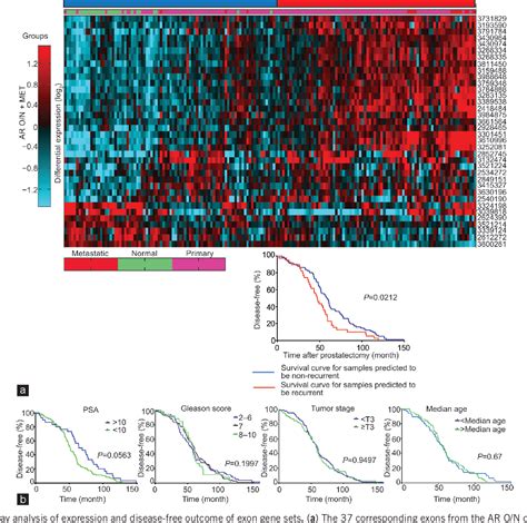 Figure 5 From Investigation Of Androgen Receptor Dependent Alternative