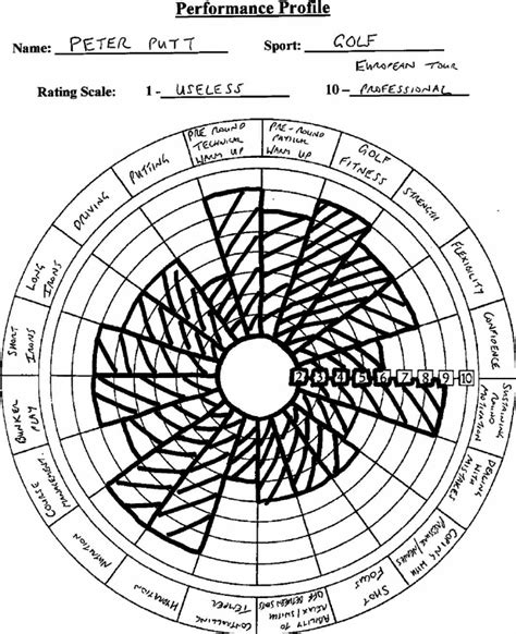 Example Of A Circular Target Performance Pro Fi Le In Golf Throughout