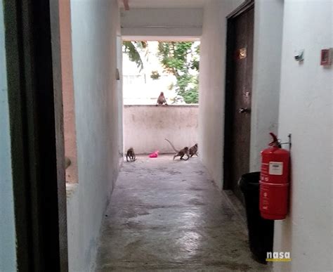 Senarai Barang Keperluan Di Inasis Dan Kampus Uum Nasa