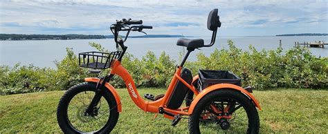 Triker Electric Bike Peak 1000w Motor Electric Tricycle