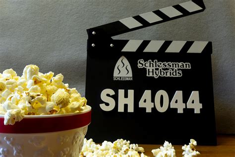 Schlessman Seed Sh 4044 Popcorn Hybrid Description