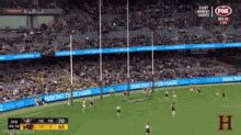 Hawthorn Hawks  Hawthorn Hawks Discover And Share S