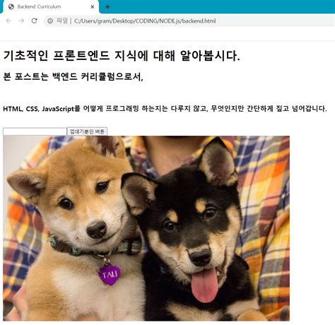 Html Css Javascript