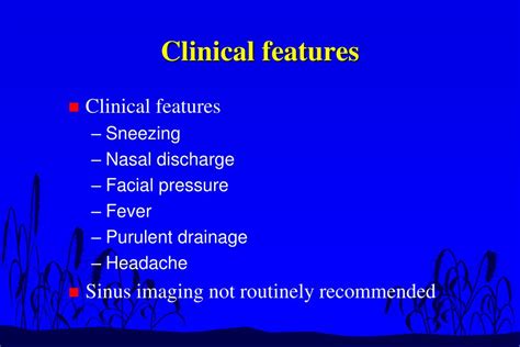 Ppt Upper Respiratory Tract Infections Powerpoint Presentation Free