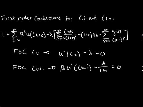 Euler Equation For Investment Returns Tessshebaylo