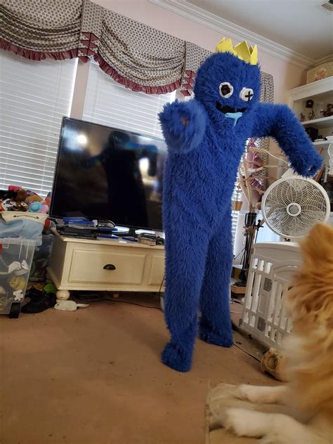 Rainbow Friends Costumes