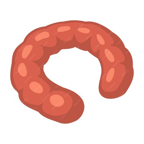 Premium Vector Sausage Ring Vector Color Vector Illustration Icon