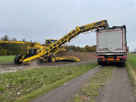 Lintrup Vognmandsforretning Aps Lintrup