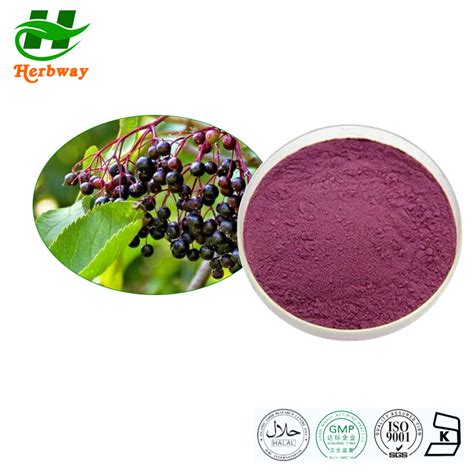 Herbway Free Sample Botanical Extract Kosher Halal Fssc Haccp Certified