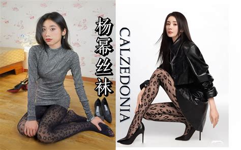 穿上杨幂代言丝袜 Get同款腿精【calzedonia豹纹黑丝测评】 哔哩哔哩