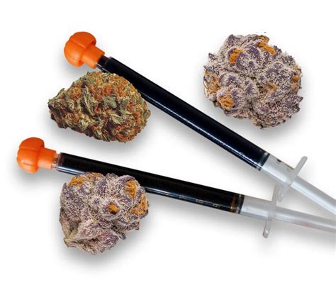 In The Room With Rick The History Of Feco King Harvest Cannabis