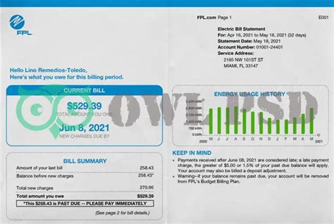 Owl Psd High Quality Fake Template United States Fpl Utility Bill