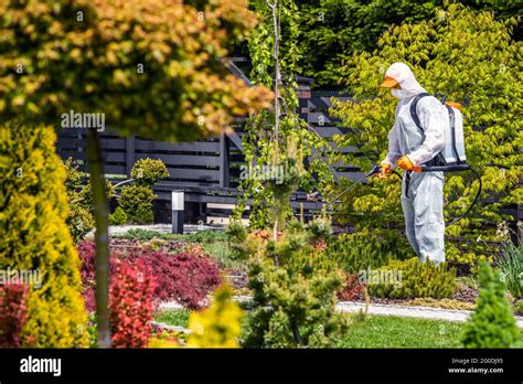 Fungicides Of Backyard Garden Plants By Professional Garden Worker
