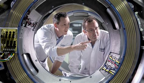 Biomedical Engineers