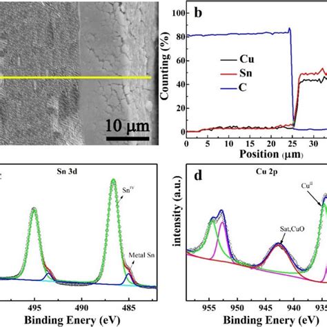 Cross Section Image A And The Linear Scan Of The Eds Result B Of Download Scientific