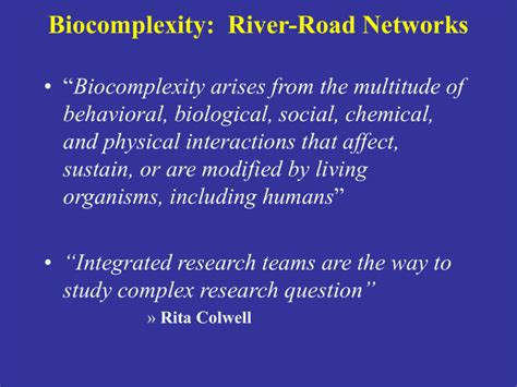 Biocomplexity River Road Networks