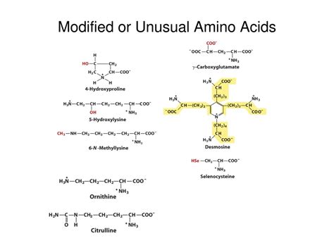 Ppt Protein Structure And Function A Comprehensive Overview Powerpoint Presentation Id9120298