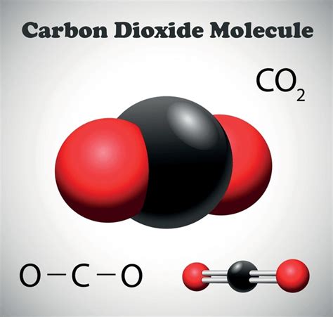 Carbon Dioxide Molecule Model
