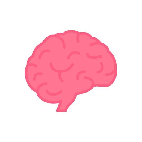 Pink Brain Vector Art Icons And Graphics For Free Download