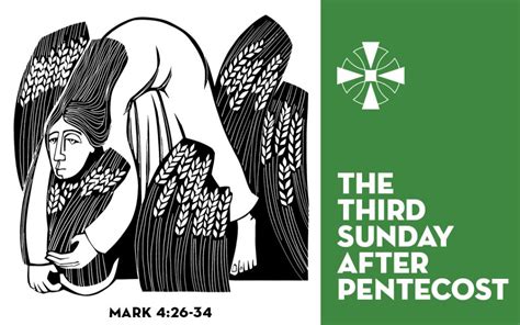 The Third Sunday After Pentecost St Michaels By The Sea Episcopal