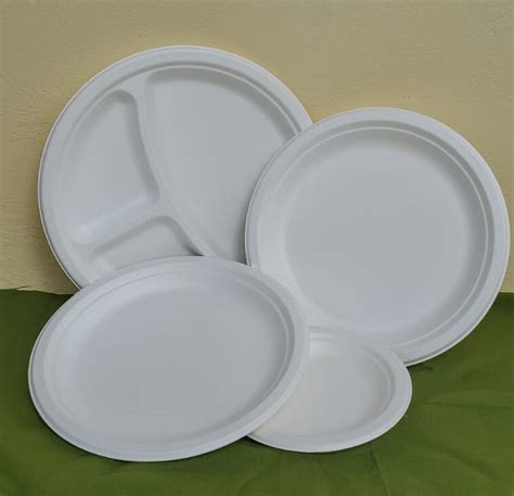 9″ Biodegradable Plates 3 Compartments 500 Pcsctn Bliitt