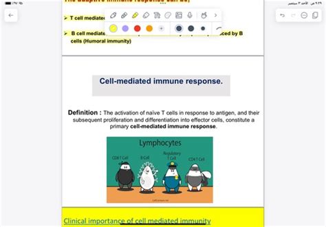 Immunology Cell Mediated Immune Response Flashcards Quizlet