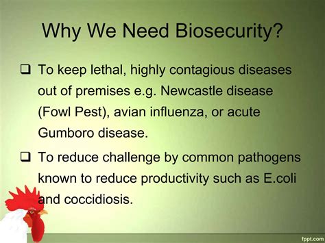 Biosecurity Of A Poultry Farm Pptx