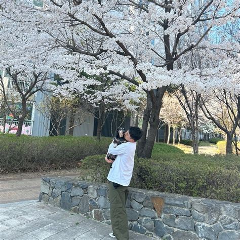 정승빈 로켓펀치