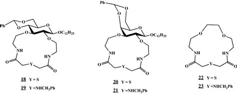 Macrocycles 1821 Incorporating Glucose Based And Galactose Based