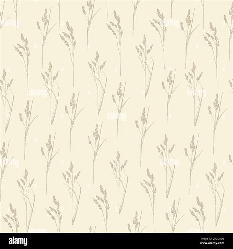 Botanical Sketch With Grass Seamless Pattern Wild Field Grains Stock
