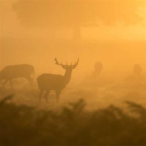 Wayne Lewandowski On Linkedin Well Save You A Seat