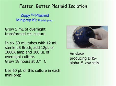 Ppt Faster Better Biotech Mini Preps Powerpoint Presentation Free