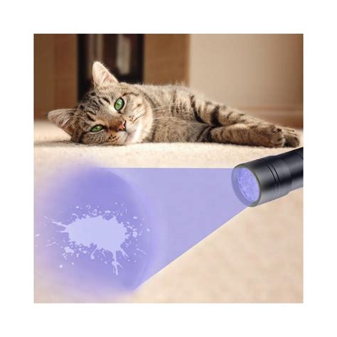 How To Detect Cat Urine With A Uv Light At Alfredo Grove Blog