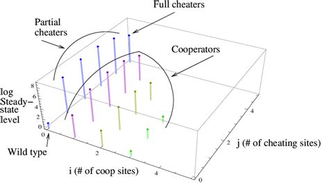 The Logarithms Of The Steady State Values For Different Classes Of