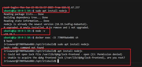 Installing Nodejs In The Container Intersystems Developer Community