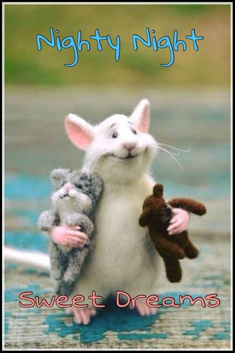 Top 999 Funny Good Night Images Amazing Collection Funny Good Night
