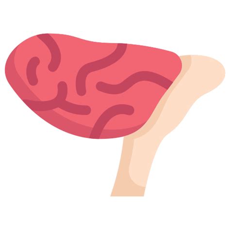 Cerebellum Generic Flat Icon